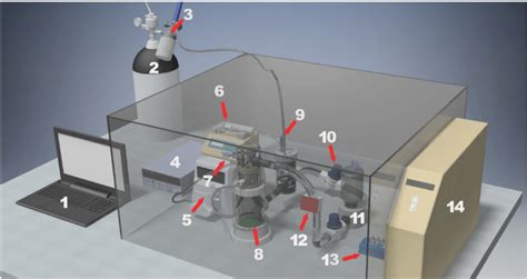 Bdm文章集锦 体外组织模型 生物 Turng 大学