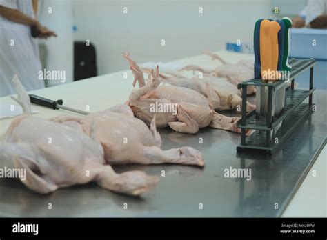 Chicken Processing In Plant Factory Poultry Production In Food