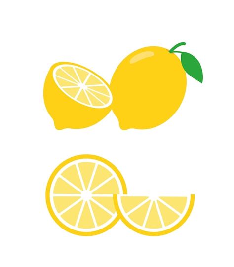 Premium Vector Set Fresh Lemon Slices