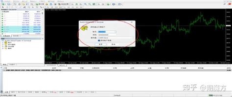 Mt4做国内期货，实现ea的高级量化交易 知乎