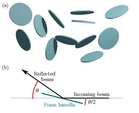 A Schematic Representation Of A Collection Of Randomly Oriented Discs
