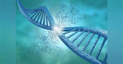 Paving The Way For Ngs In Biomarker Testing Pharma Manufacturing
