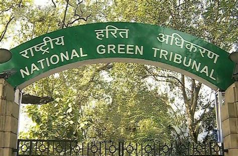 Ngt Fine Noida Authority And Greater Noida Authority Ngt ने नोएडा