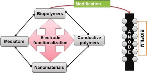 Concept Map Of Electrode Functionalization Download Scientific Diagram