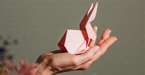 종이 종이접기 새를 손에 들고 있는 사람 사진 Unsplash의 종이접기 이미지