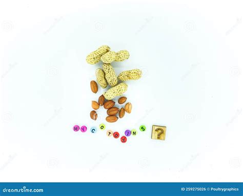 Aflatoxin Is Contaminated In Crushed Peanuts That Have Fungi Stock