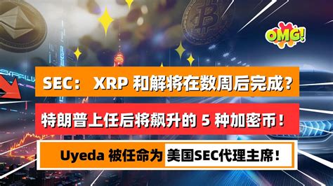 前sec 律师称 ：xrp 诉讼和解将在数周后完成！特朗普上任 100 天内可能飙升的 5 种加密货币！5000 亿美元发展人工智能基础设施