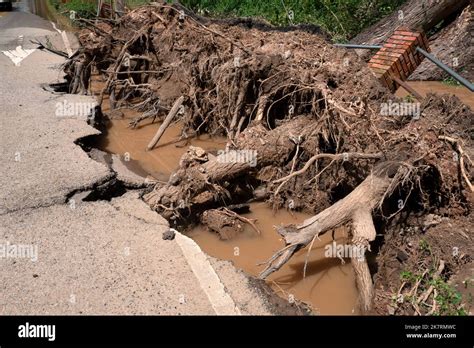 Fallen Trees Uprooted And Roads Asphalt Pavement Destroyed After Water Floods Stock Photo Alamy