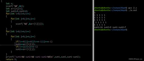 编程挑战：二维数组操作与字符串处理函数应用 Csdn博客