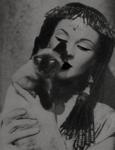 A Lass Unparalleled Vivien Leigh Siamese Siamese Cats