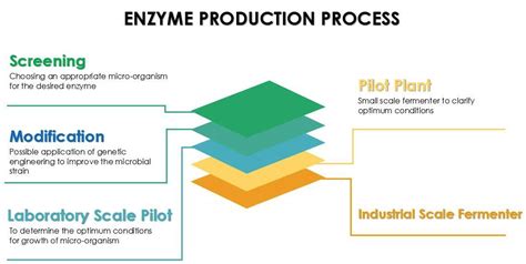 Creative Enzymes Develops And Manufactures Specialty Enzymes In Both