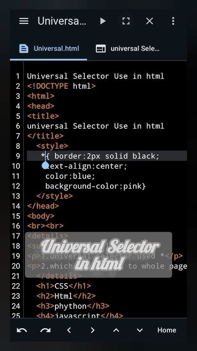 Universal Selector Use In Html Using Css Properties Universal Selector Attributes
