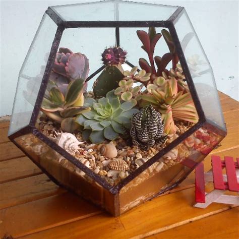 Jual Terrarium Kaktus And Sukulen Terrarium Terarium Souvenir Kado