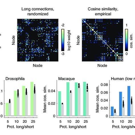 Redundancy Of Long Range Connectivity A Example Empirical And
