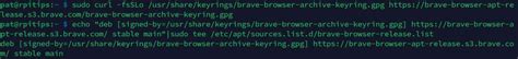 Brave On Your Pi A Quick Guide To Install The Brave Browser