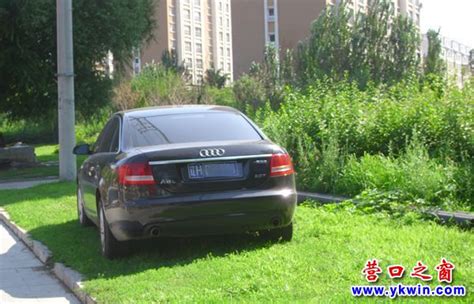 鲜嫩的草坪上闯入一个不速之客 图说营口 营口之窗辽宁营口信息门户网
