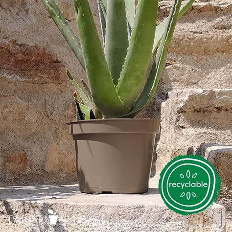 Pots De Fleurs Horticoles L En Plastique Recyclable Tarpin Chavet