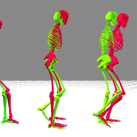 1 rl algorithm reward evolution in walking experiment when trained for