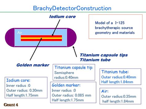 example of user application the geant4 brachytherapy advanced example