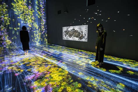 Transcending Boundaries Linstallazione Immersiva Di Teamlab Collater Al