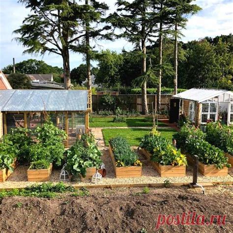 👨‍👩‍👧‍👦 Информационный портал для огородников и садоводов 🏠 Д Статьи