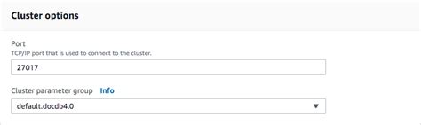 Creazione Di Un Cluster Amazon Documentdb Amazon Documentdb