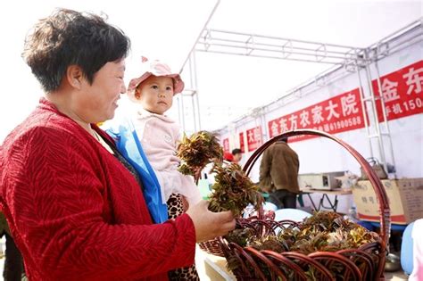 北京平谷第五届香椿文化节开幕峪口镇进入采摘季将持续到5月中旬 平谷 墙根网