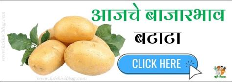 आजचे सर्व शेतमाल बाजार भाव Bajar Bhav Today