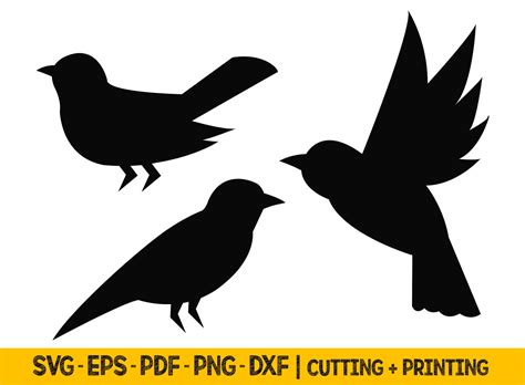 Bird Svg Files For Cricut Bird Clipart Vector Birds Svg Bundle Cricut