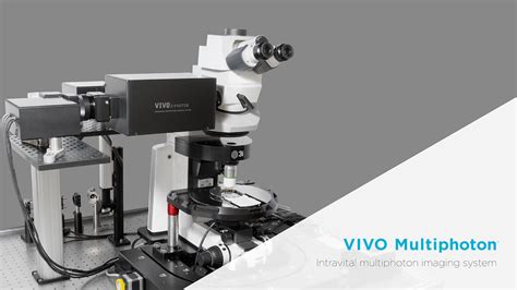 Vivo Multiphoton 3i