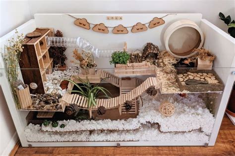 Linnmon Hamster Cage Hamster Cages Hamster Diy Cage Hamster Habitat Hamster Habitat