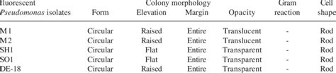 Morphological Characterization Of Fluorescent Pseudomonas Sp Isolated Download Table