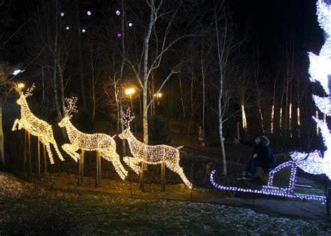 Celebrate Korea Winters Lighting Festival At Garden Of Morning Calm