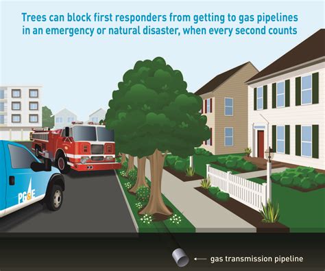 PG E To Incorporate Safety Initiatives Remove Obstructing Trees