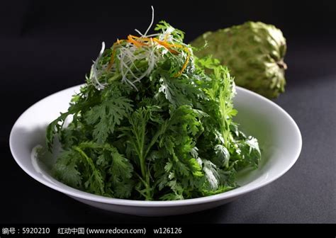 凉拌有机苦菊高清图片下载 红动中国