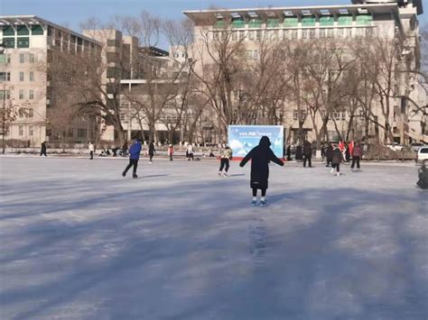 就在明天这场冰雪盛宴你一定不能错过 东北林业大学学生会研究生会