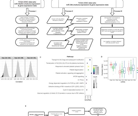 Figure 1 From Identification And Validation Of Putative Target Genes