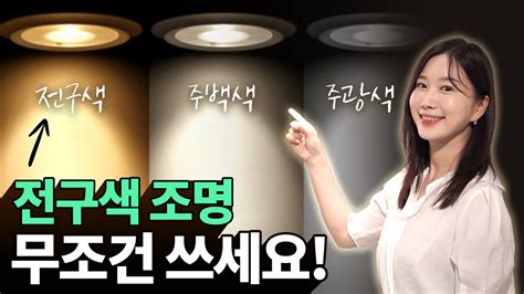 조명 색상 종류전구색 주백색 주광색 다운라이트의 종류 새아파트 조명 시공 총정리💡플리커프리 조명 색온도 Youtube