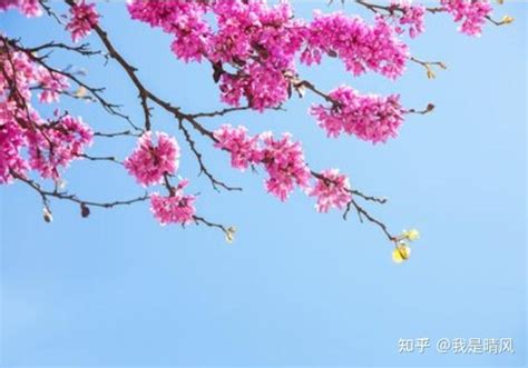 倘若一个人把你当作灵魂伴侣，会这般对你 知乎