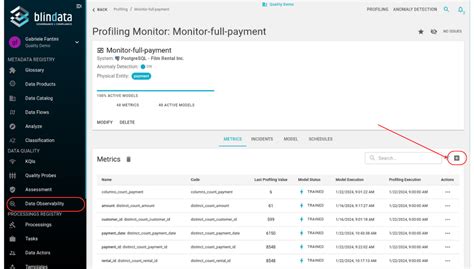 Blindata Help Profiling Metric