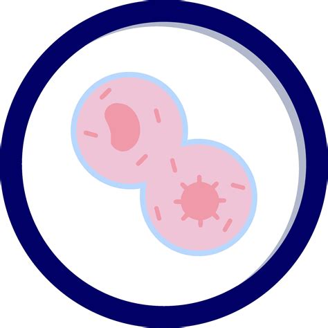 Mitosis Vector Icon 38874416 Vector Art At Vecteezy
