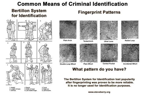 Ulnar Loop Patterns Perylene Diimide With Solid State Nir Luminescence