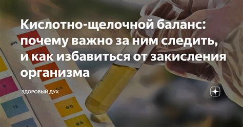 Кислотно щелочной баланс почему важно за ним следить и как избавиться от закисления организма