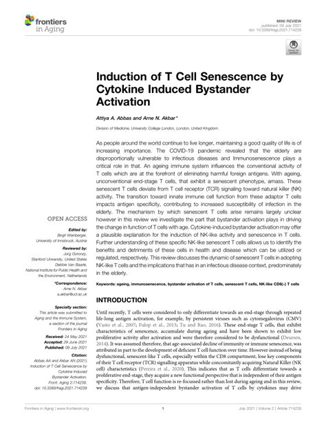 Pdf Induction Of T Cell Senescence By Cytokine Induced Bystander
