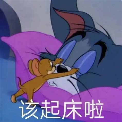 有什么逗人开心的表情包？ 知乎
