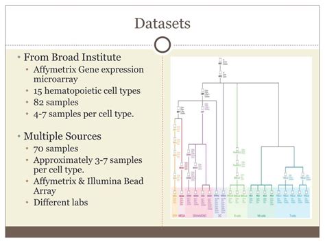 Ppt Biomarker And Classifier Selection In Diverse Genetic Datasets Powerpoint Presentation