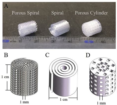 Fabrication Of Polylactic Acid Pla Based Porous Scaffold Through The