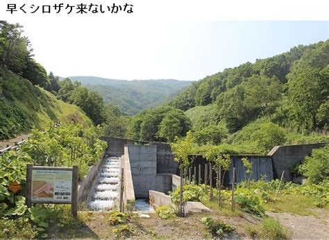 平成26年度北海道民有林治山林道写真コンクール審査結果 治山部門 一般社団法人 北海道治山林道協会