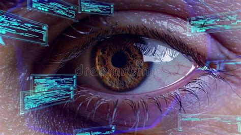 Human Eye Revealing Advanced Technological Visualization Streaming Digital Data And Augmented