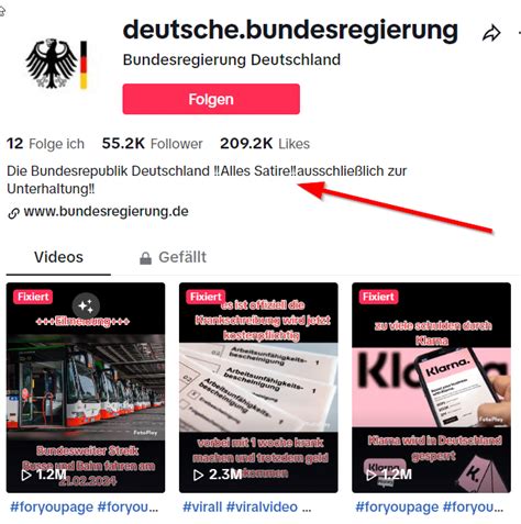 Deutsche Bundesregierung Fake Tiktok Account